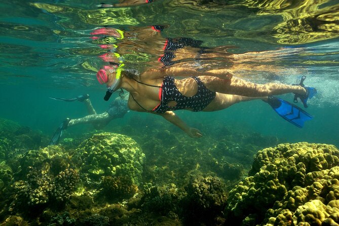 Maui South Shore Premier Kayak and Snorkel Tour from Makena Beach - Experience Overview and Itinerary