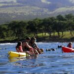 Maui South Shore Premier Kayak and Snorkel Tour from Makena Beach - In-Depth Look at the Tour Experience