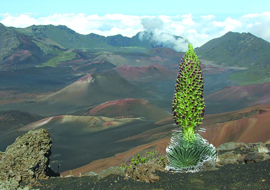 Maui: Sunset & Dinner Tour to Haleakala National Park - The Guided Tour and Informative Commentary