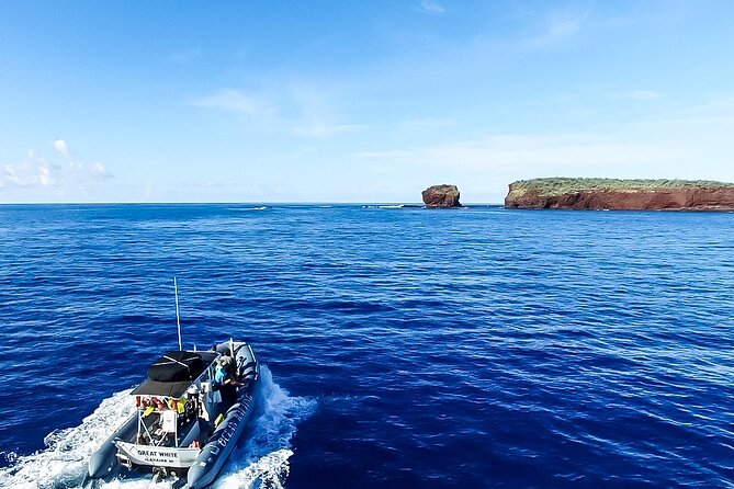 Maui to Lanai Semi-Private Eco Raft Snorkel & Dolphin Tour - Reviews That Speak Volumes