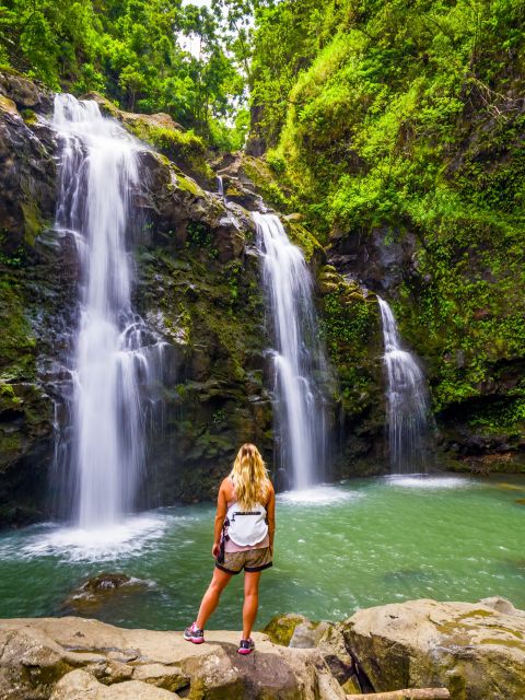 Maui Tropical Rainforest Eco Tour with Lunch - Key Points