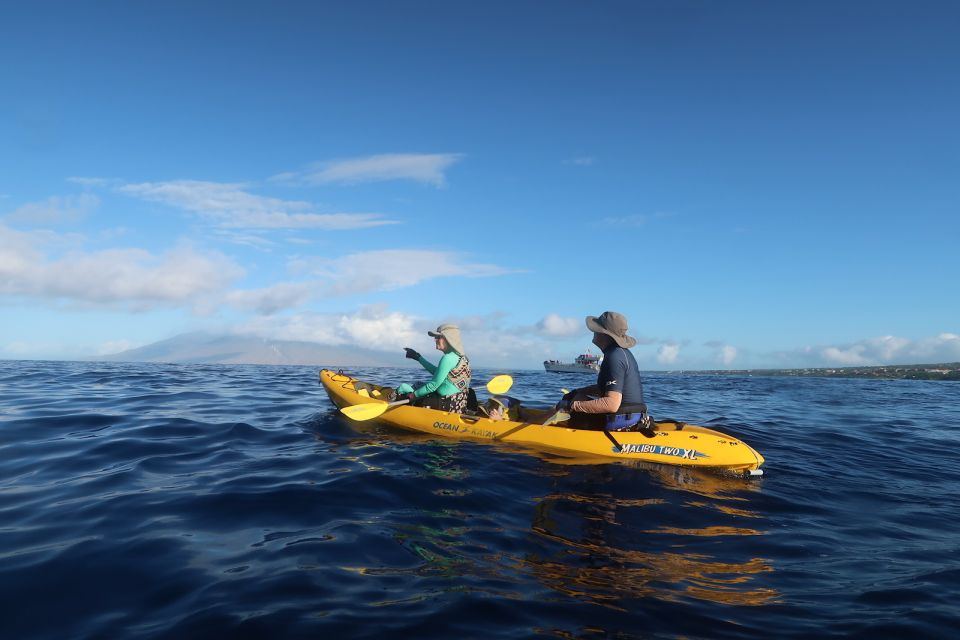 Maui: Turtle Town Kayak and Snorkel Tour - Introduction