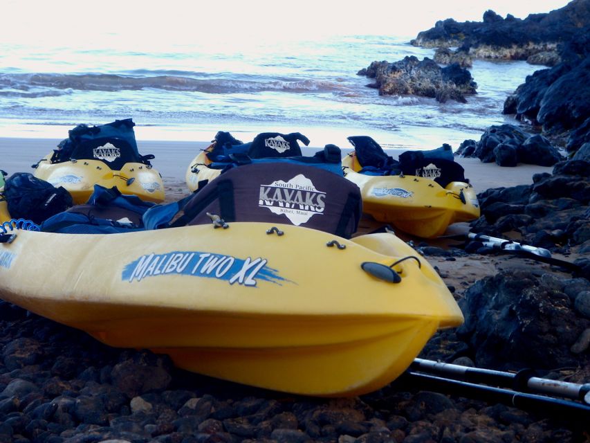 Maui: Turtle Town Kayak and Snorkel Tour - FAQ