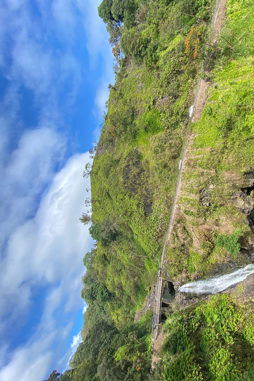 Maui: Van Day Trip to Hana with Local Guide and Lunch - Who Will Love This Tour?