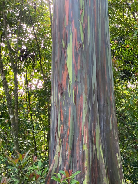 Maui: Van Day Trip to Hana with Local Guide and Lunch - Frequently Asked Questions