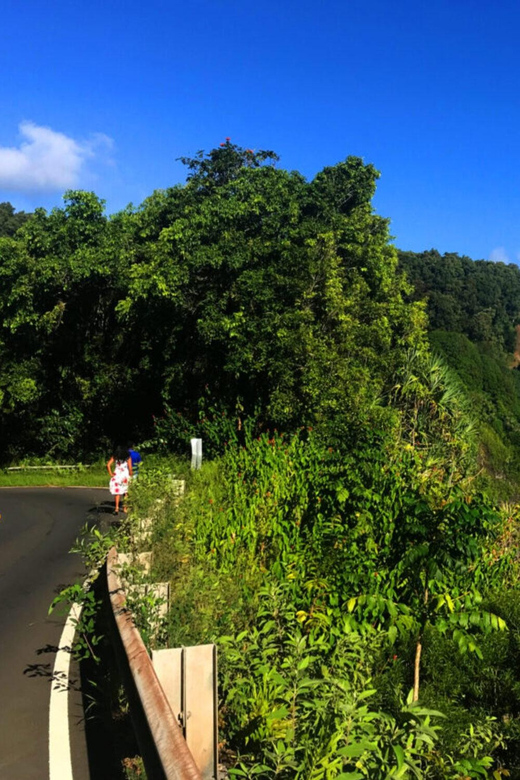 Maui: West Maui Tour with Breakfast and Lunch - Breakfast with a View: Fueling Up for Adventure