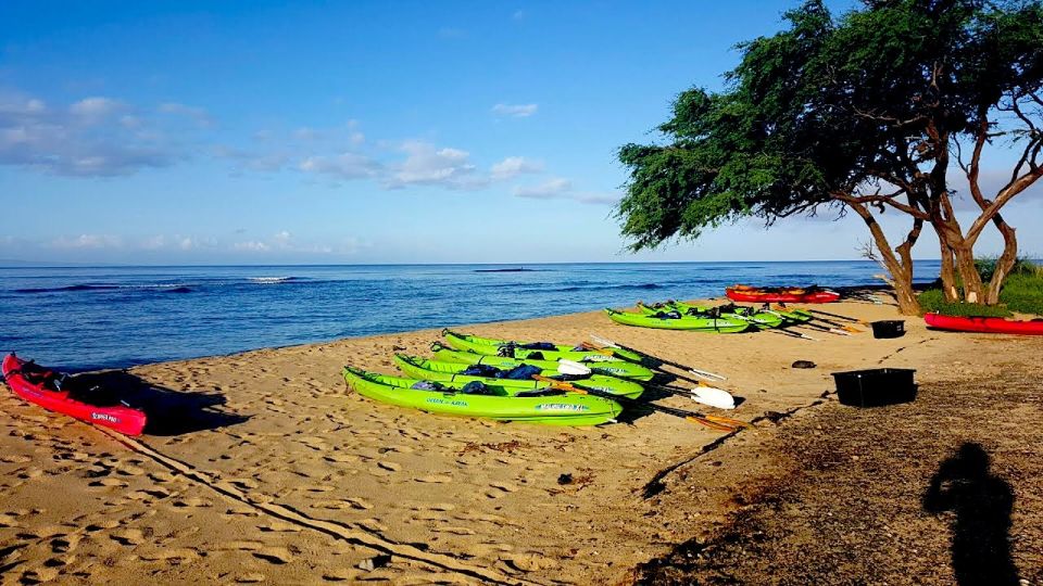Maui: West Side Discovery Kayak & Snorkel from UKUMEHAME - Exploring the Tour Experience: What You Can Expect