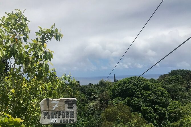 Maui Zipline Eco Adventure: 8 Lines through the Jungle - What to Expect from the Maui Zipline Eco Adventure