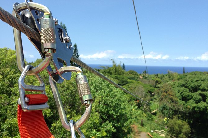Maui Zipline Eco Adventure: 8 Lines through the Jungle - The Guides: Knowledgeable and Personable