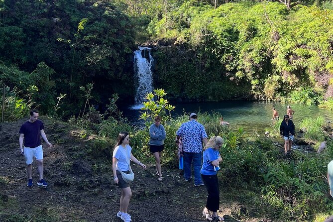 Mauis Sea Turtles, Waterfalls and Road to Hana Adventure - Who Should Book This Tour?