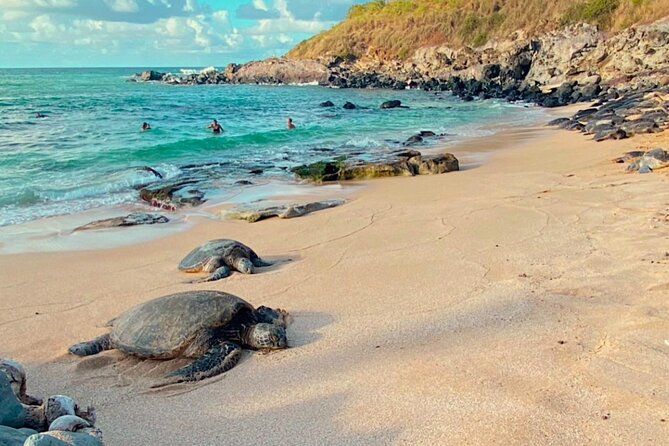 Mauis Sea Turtles, Waterfalls and Road to Hana Adventure - Final Thoughts