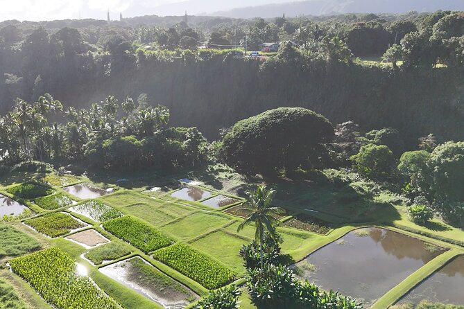 Mauis Sea Turtles, Waterfalls and Road to Hana Adventure - FAQs