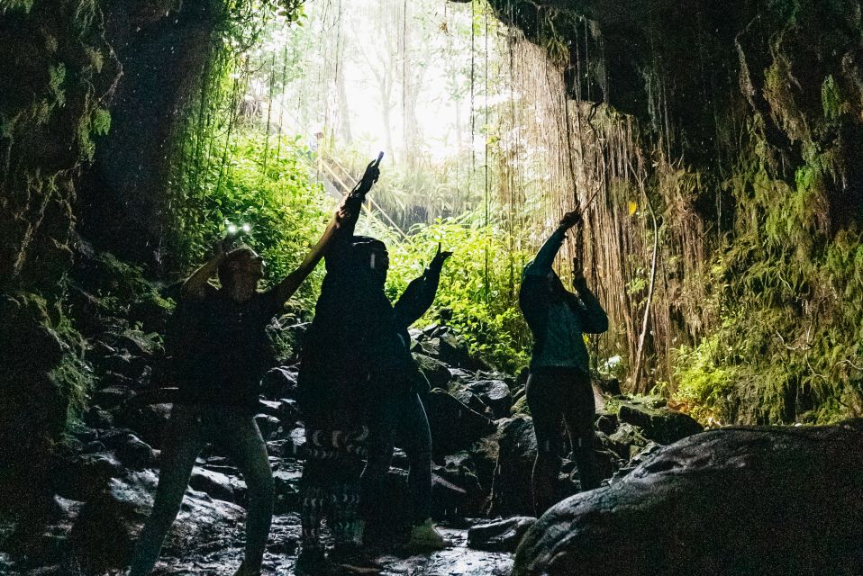 Mauna Kea: Stellar Explorer Tour from Hilo - An In-Depth Look at the Mauna Kea Stellar Explorer Tour