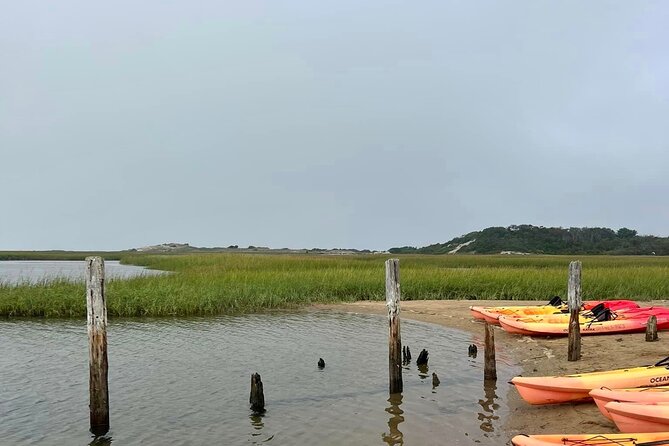 Mayflower Trolley Tour! - The Experience at a Glance