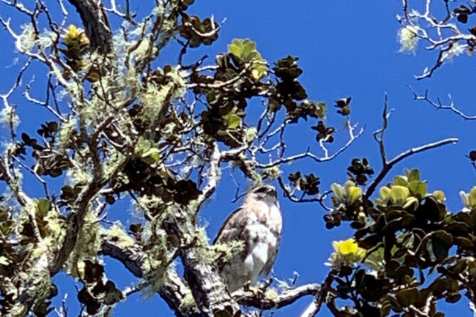 Meet in the park - Private Hawaii Volcanoes National Park Tour - FAQ