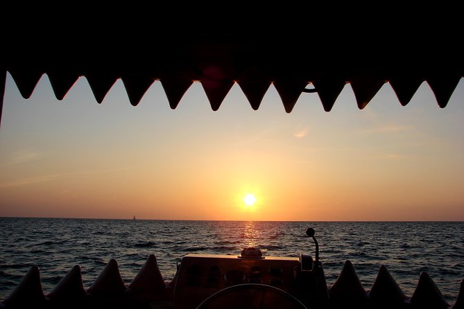 Mega Bite Dolphin Tour Boat in Clearwater Beach - Who Should Consider This Tour?