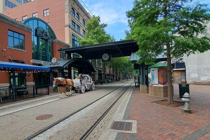 Memphis City Highlights: Private Guided Sightseeing Tour - The Sum Up