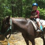 Memphis Horseback Trail Ride Tour - Discovering Memphis on Horseback: What to Expect