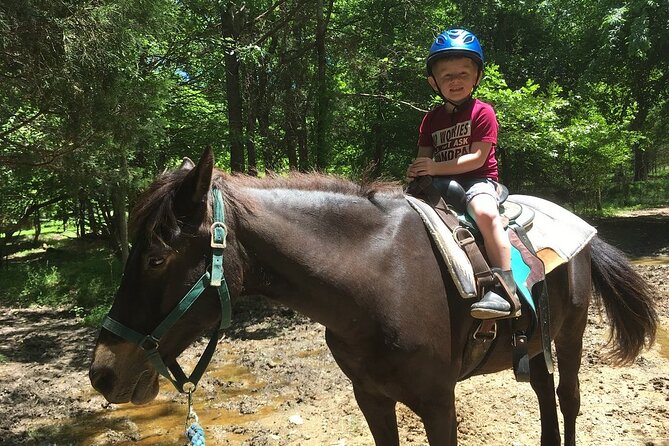 Memphis Horseback Trail Ride Tour - Discovering Memphis on Horseback: What to Expect