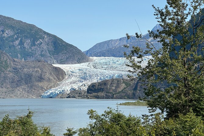 Mendenhall Glacier and Whale Watching Tour - The Glacier Stop: What to Expect at Mendenhall