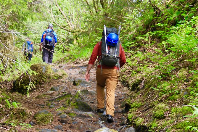 Mendenhall Glacier Guided Hike Juneau - Final Thoughts: Is This Tour for You?