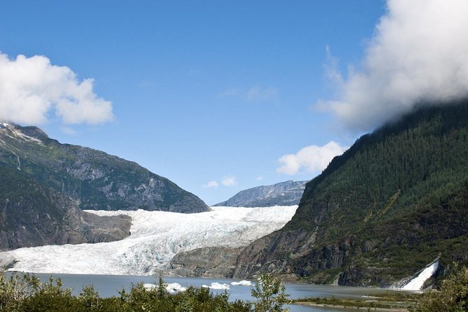 Mendenhall Glacier Trolley Tour - The Itinerary: What You’ll Experience