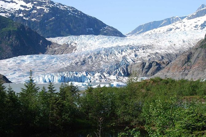 Mendenhall Glacier Trolley Tour - Authentic Insights from Travelers