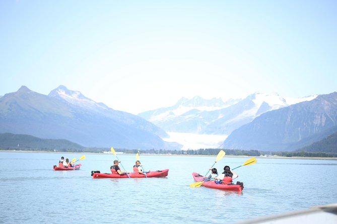 Mendenhall Glacier View Sea Kayaking - What to Expect from the Tour
