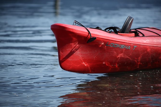 Mendenhall Glacier View Sea Kayaking - The Experience in Detail