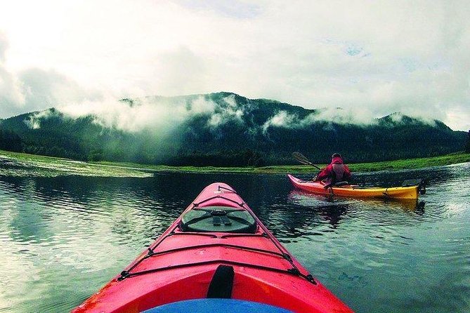 Mendenhall Glacier View Sea Kayaking - What’s Not Included
