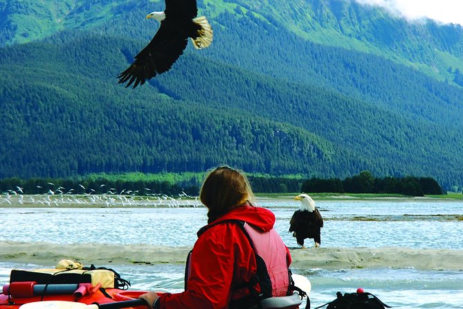 Mendenhall Glacier View Sea Kayaking - FAQs