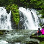 Mendenhall Lake Kayak and Salmon Bake Adventure - The Scenic Highlights