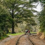 Mendocino County: Pudding Creek Railbikes - The Value of the Tour