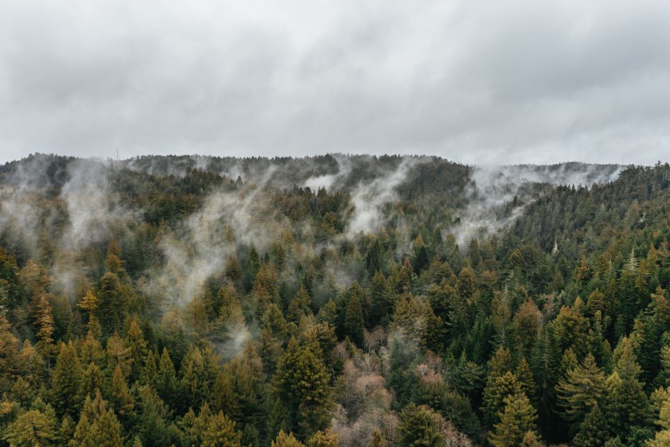 Mendocino County: Pudding Creek Railbikes - Practical Tips & Considerations
