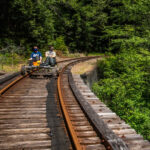 Mendocino County: Railbiking Tour Along the Noyo River - The Practicalities: What to Know Before You Go