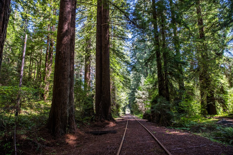 Mendocino County: Railbiking Tour Along the Noyo River - FAQ