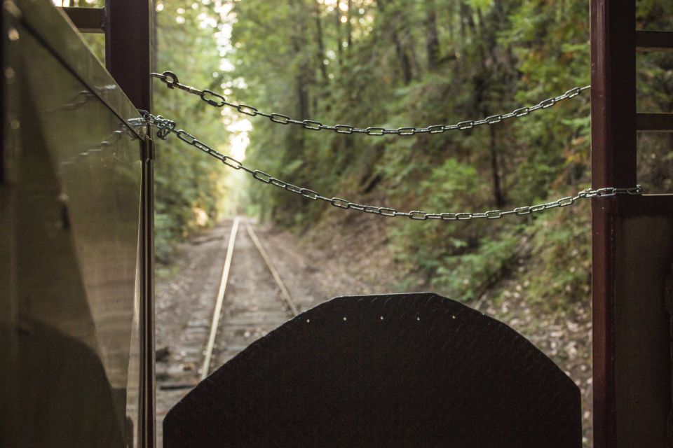 Mendocino County: Skunk Train Wolf Tree Turn Train Ride - Key Points