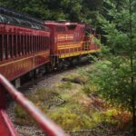 Mendocino County: Skunk Train Wolf Tree Turn Train Ride - What the Experience Feels Like