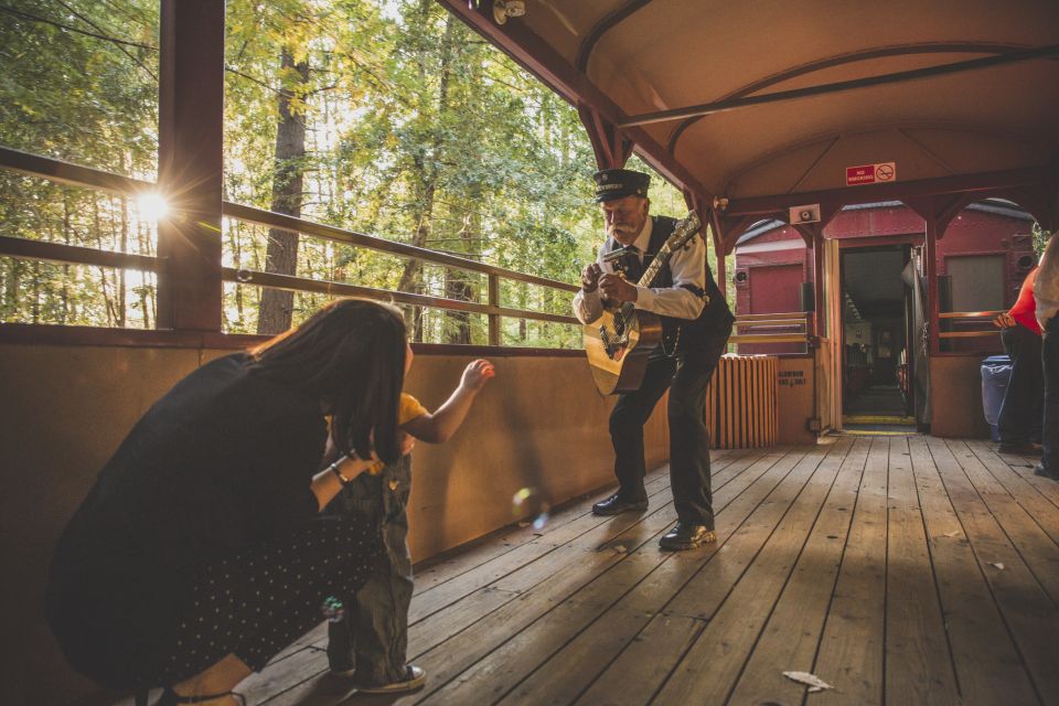 Mendocino County: Skunk Train Wolf Tree Turn Train Ride - The Final Verdict: Is It Worth It?