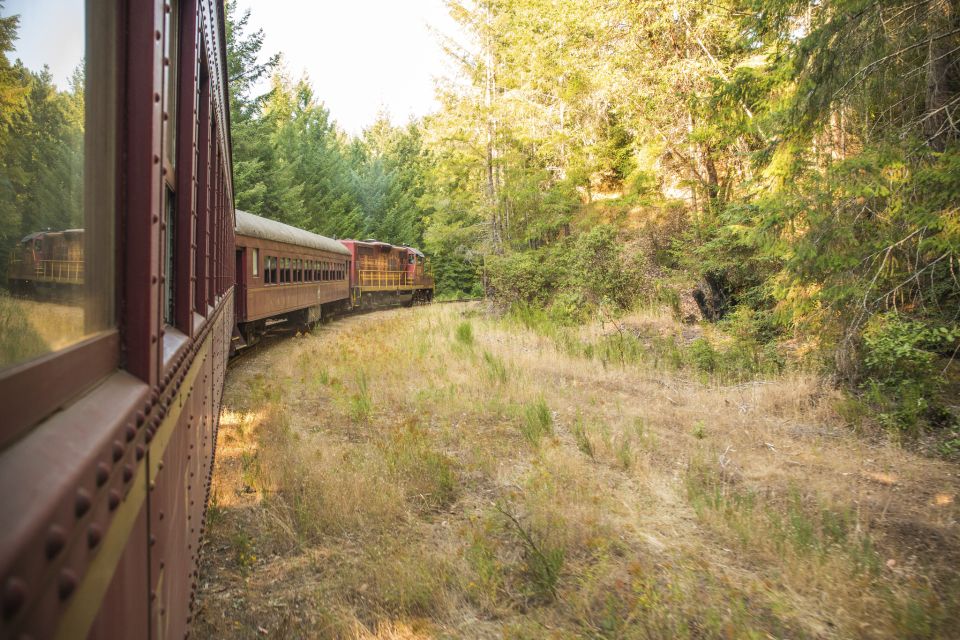 Mendocino County: Skunk Train Wolf Tree Turn Train Ride - Who Should Consider This Tour?
