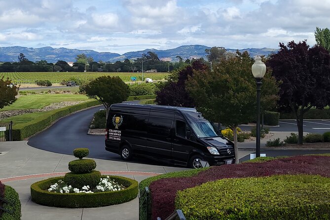 Mercedes-Benz Sprinter Wine Tasting Experience (chlid seat avil.) - Final Thoughts