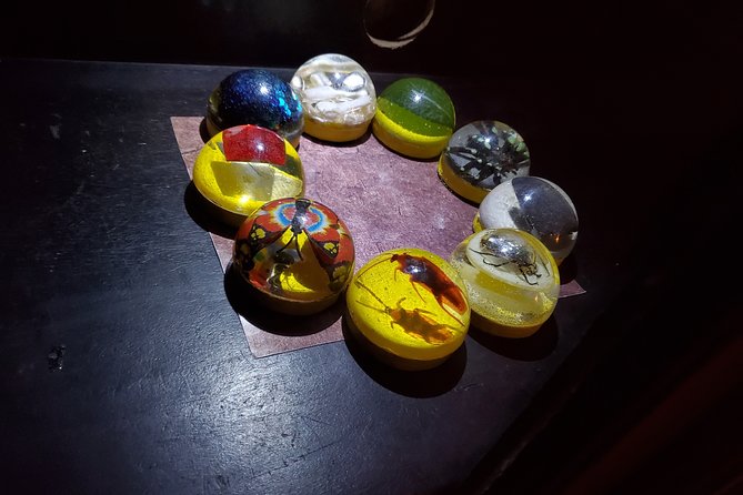 Merlin's Magic School Escape Room Game for Private Group - The Itinerary & Experience Breakdown