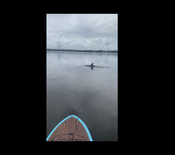 Merritt Island: Manatee Watching Paddle or Kayak Tour - FAQs