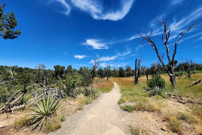 Mesa Verde National Park Self-Guided Audio Tour - FAQ
