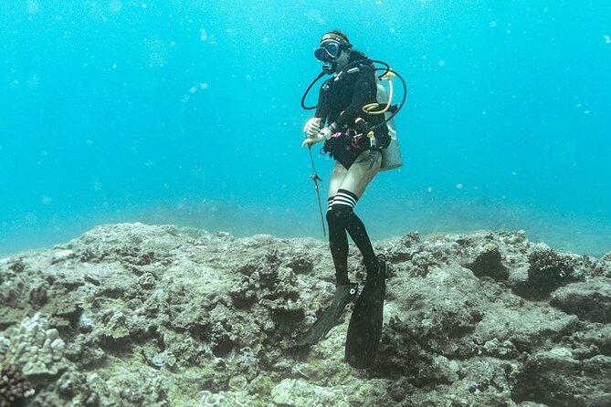 Mesmerizing Private SCUBA Diving Charter in Paradise from Waikiki - Key Points