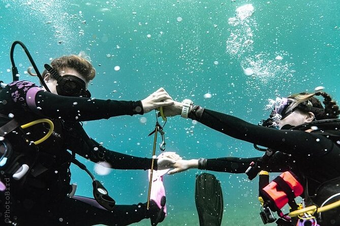 Mesmerizing Private SCUBA Diving Charter in Paradise from Waikiki - Who Should Book This Tour?
