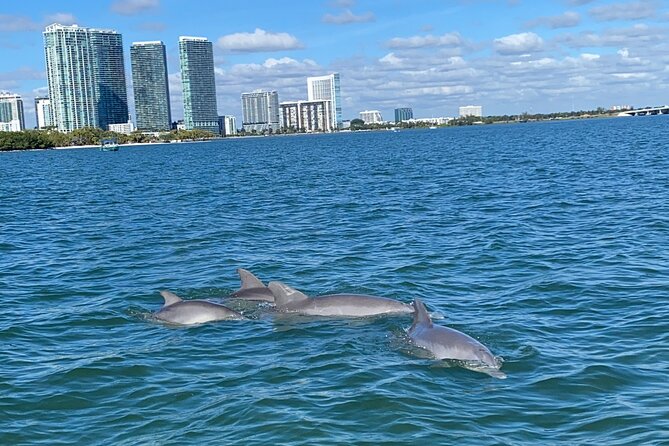 Miami: Aqua Excursion (Flyboard + Tubing + Boat Tour) - Frequently Asked Questions  