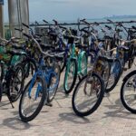 Miami Beach Art Deco Bike Tour - Who Is This Tour Best For?