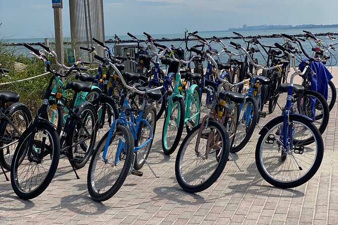 Miami Beach Art Deco Bike Tour - Who Is This Tour Best For?