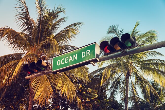 Miami Beach Art Deco & History Walk Tour with Design Enthusiast - The Guide: Damian’s Expertise and Approach
